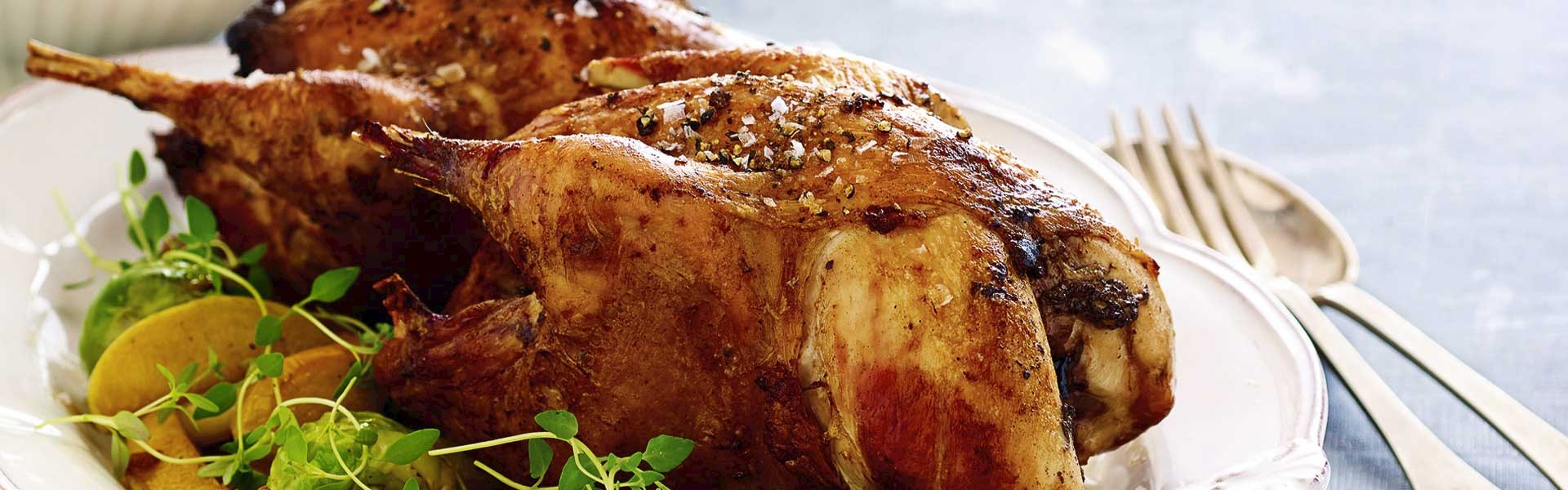 Fasan opskrift - tilberedning af fasan i ovn - læs her hvordan