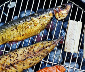Grillmad - alt godt til grillen - se opskrifterne her