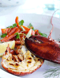 Grillet hummer med krydret salt - se den lækre opskrift her