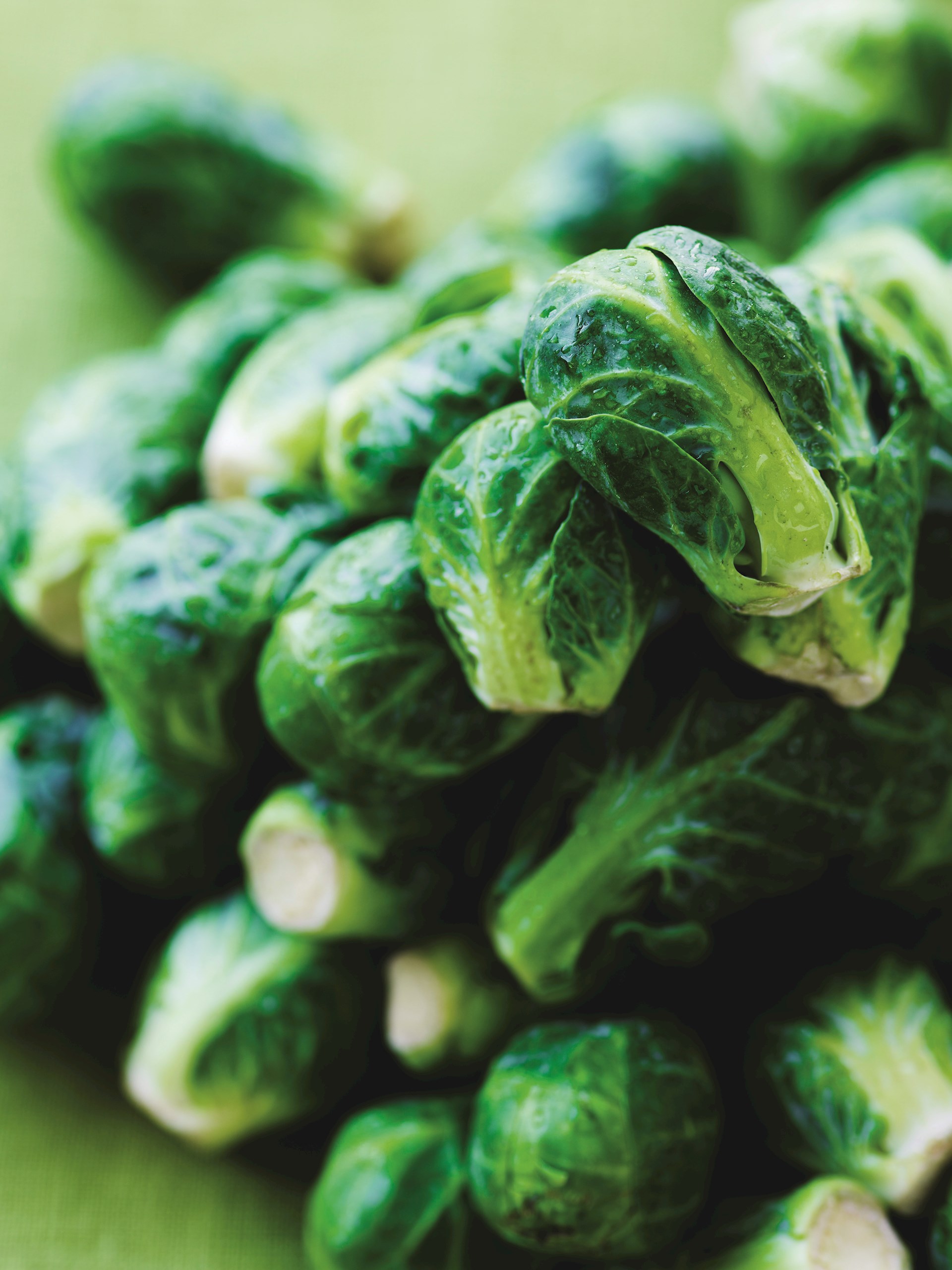 Vegetar julemad – Den bedste opskrift på vegetarisk julemad